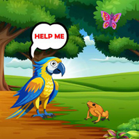 provide-food-to-macaw | Games2Mad
